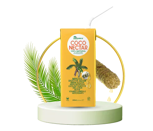Coco Nectar - Thenneera - Divine Natural Drink - 12 pack - Bliss Tree IL